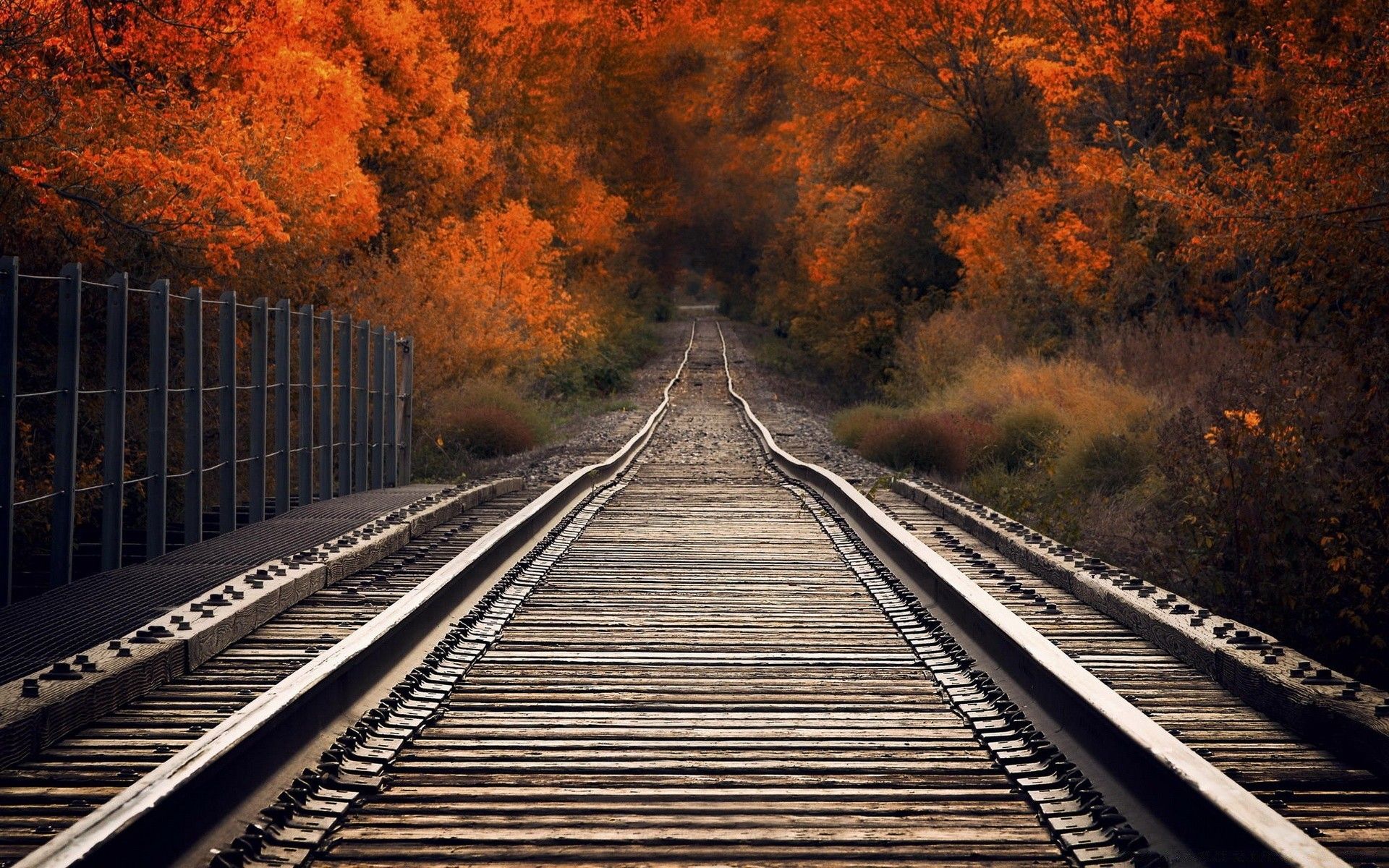Autumn Train Track Wallpapers - Wallpaper Cave