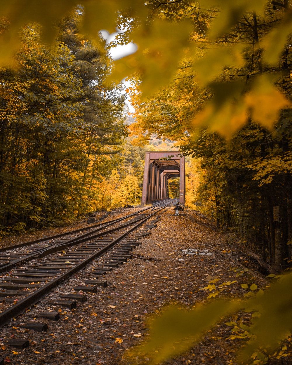Autumn Train Track Wallpapers - Wallpaper Cave