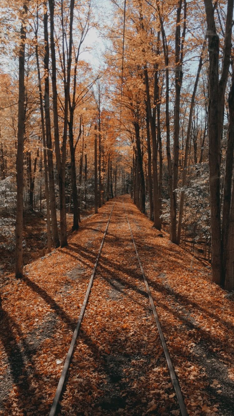 Autumn Train Track Wallpapers - Wallpaper Cave