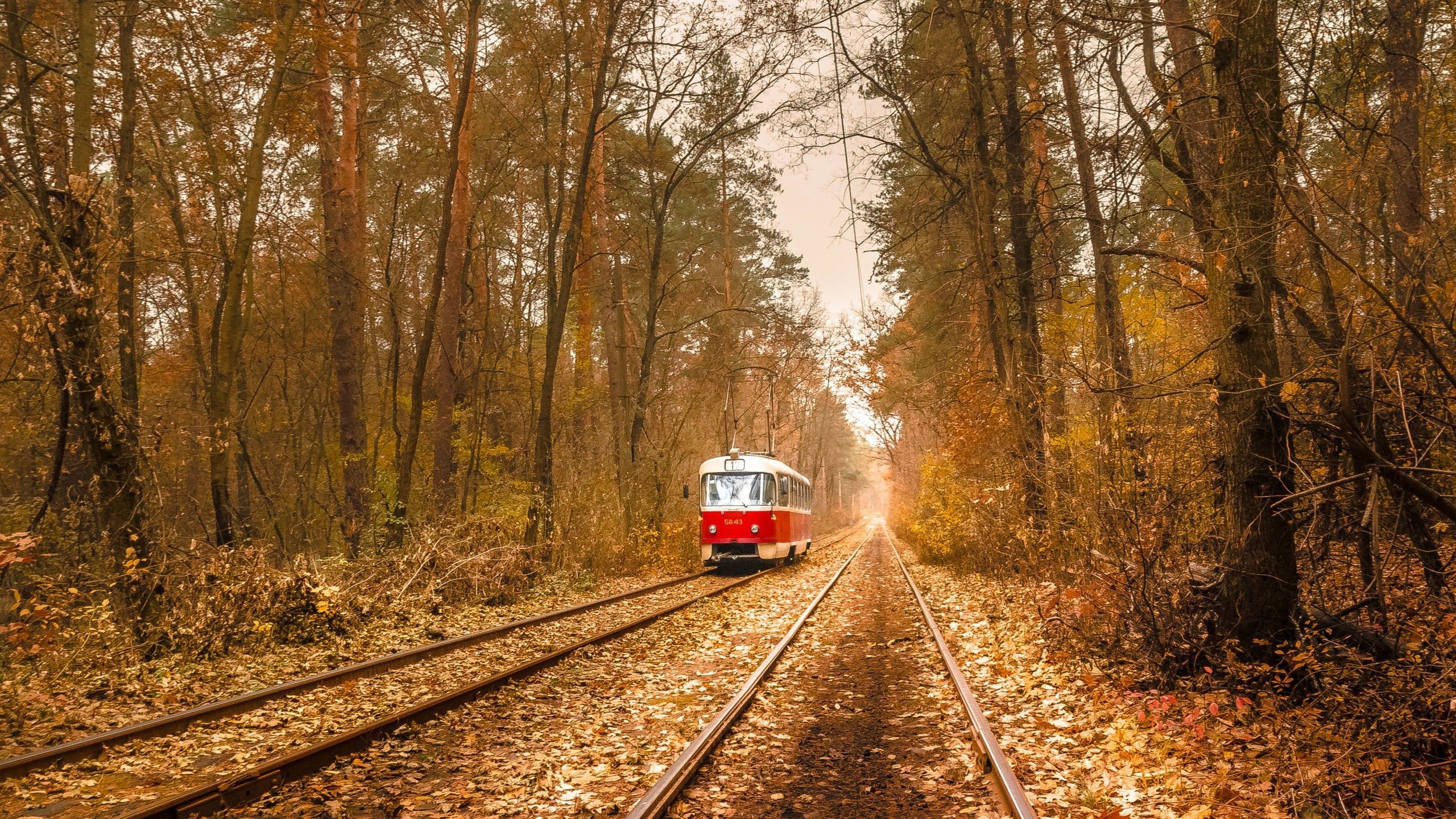 Autumn Train Track Wallpapers - Wallpaper Cave