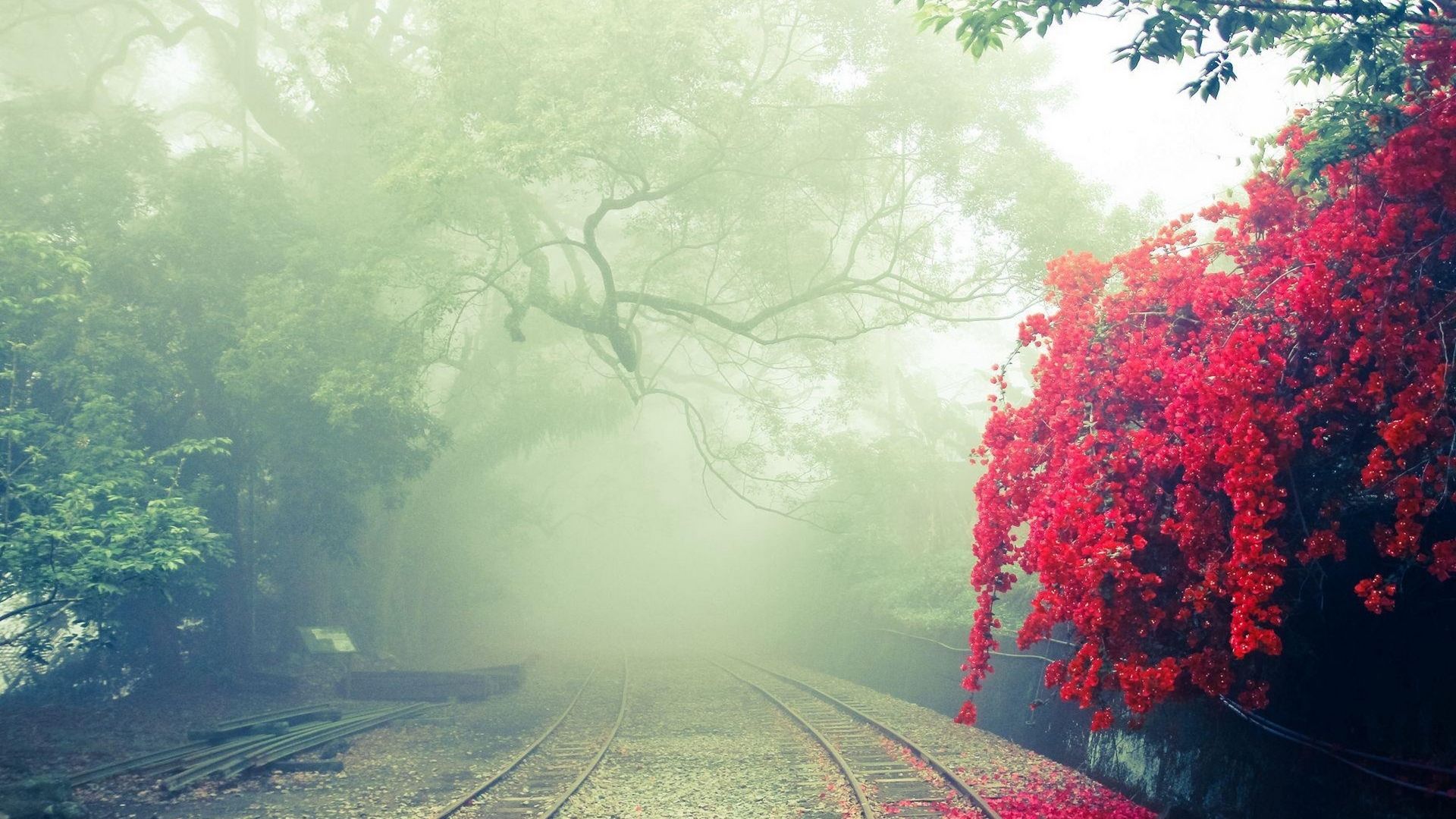 Autumn Train Track Wallpapers - Wallpaper Cave