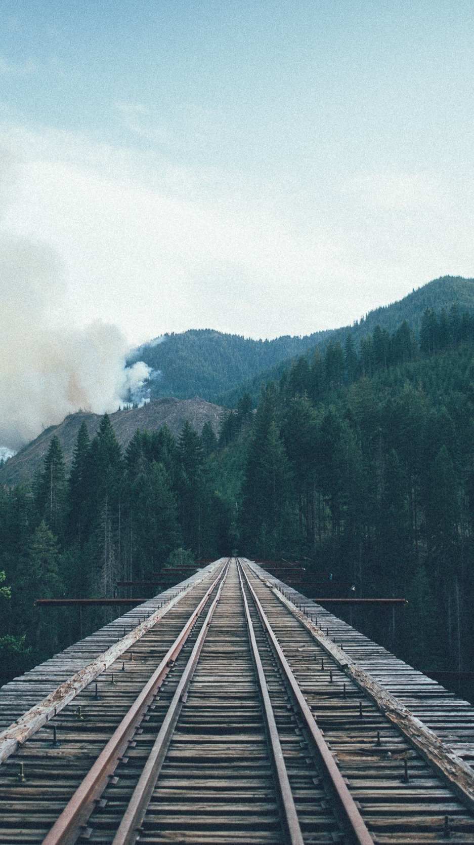 Railway Forest Mobile Wallpapers - Wallpaper Cave