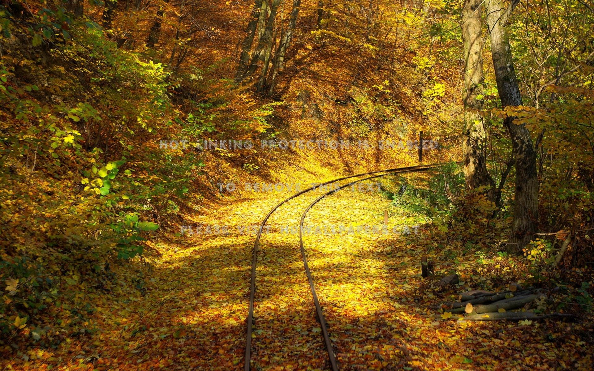 Autumn Train Track Wallpapers - Wallpaper Cave