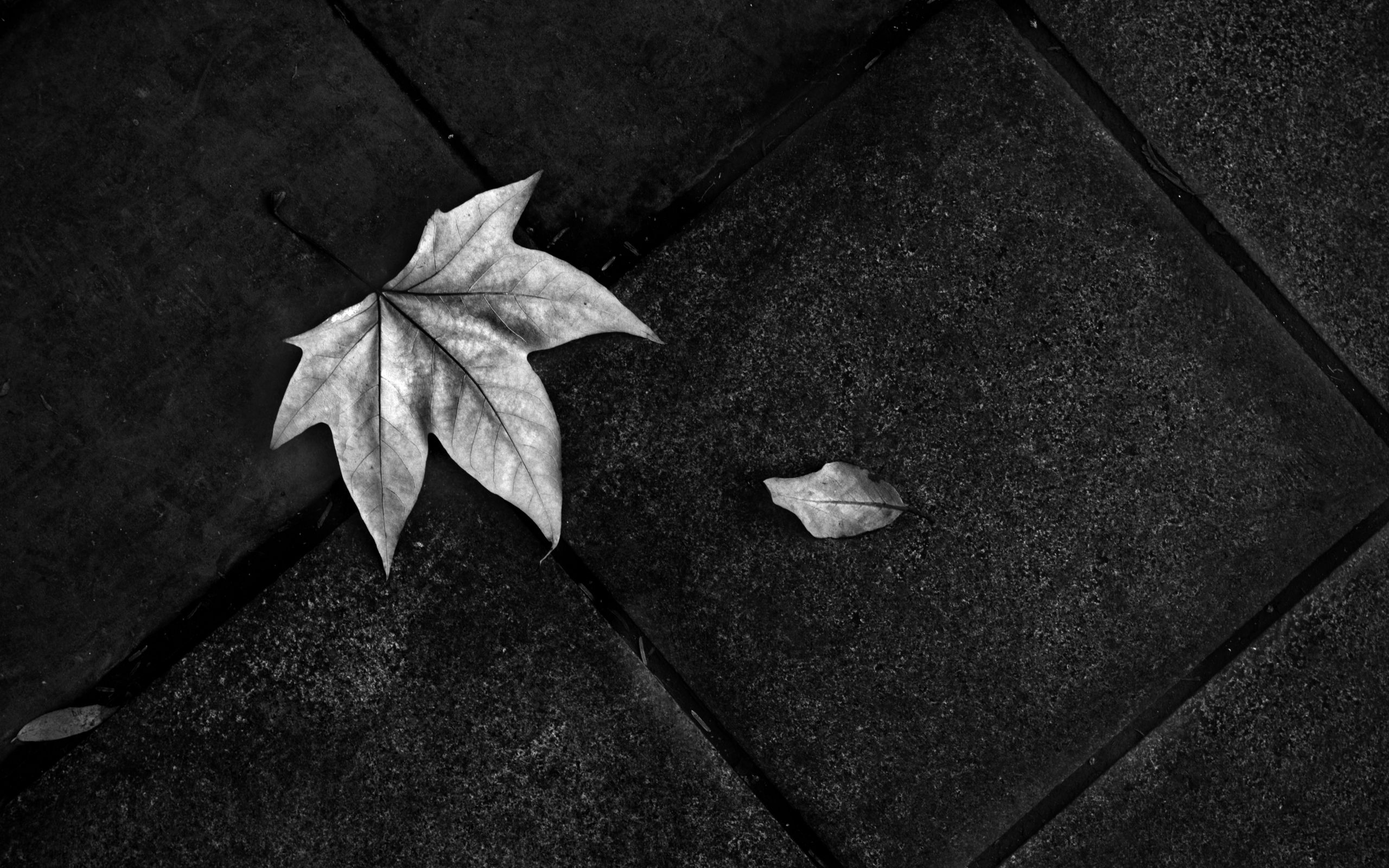 Ground 4k Wallpapers - Wallpaper Cave