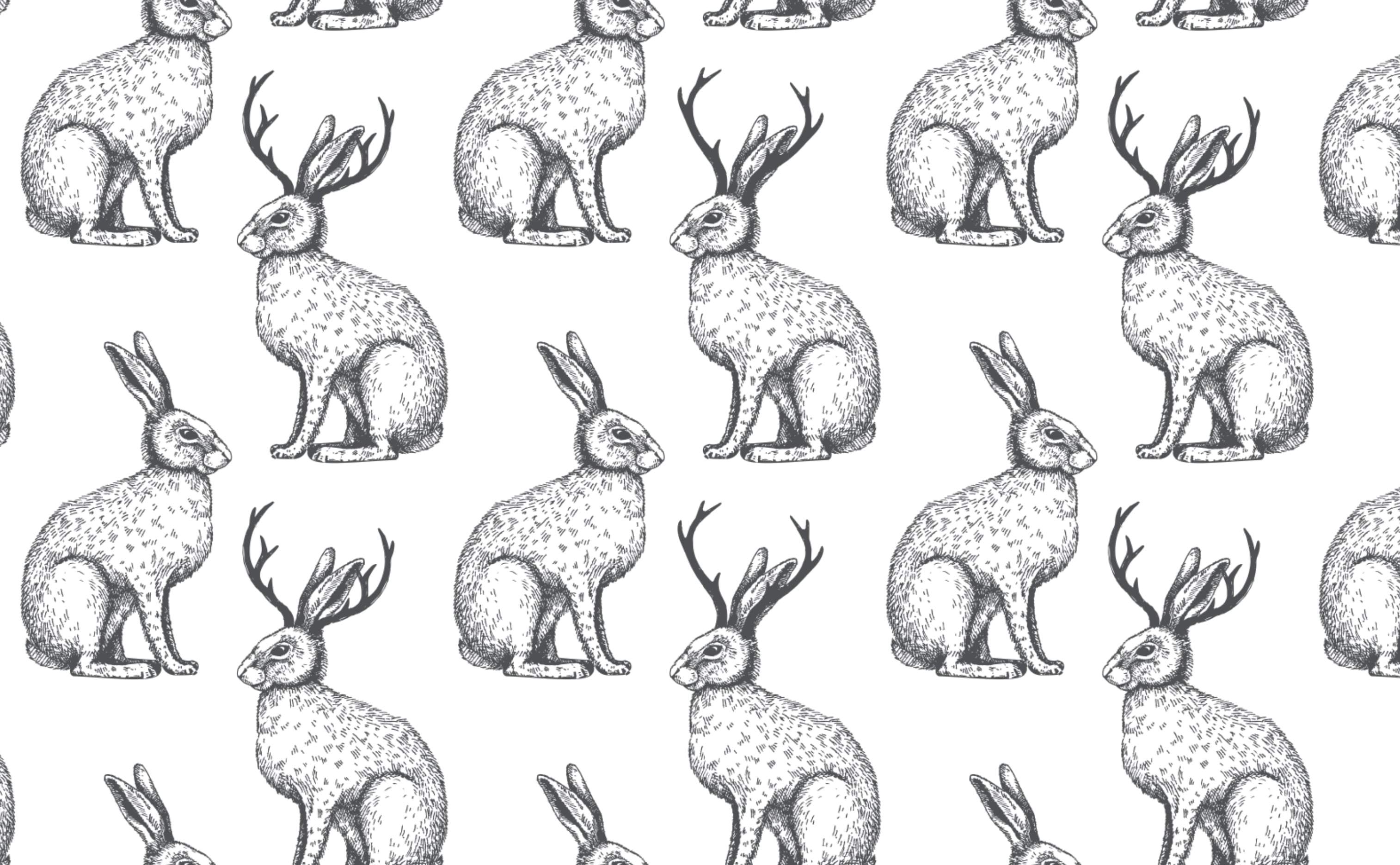 Jackalope Wallpapers - Wallpaper Cave