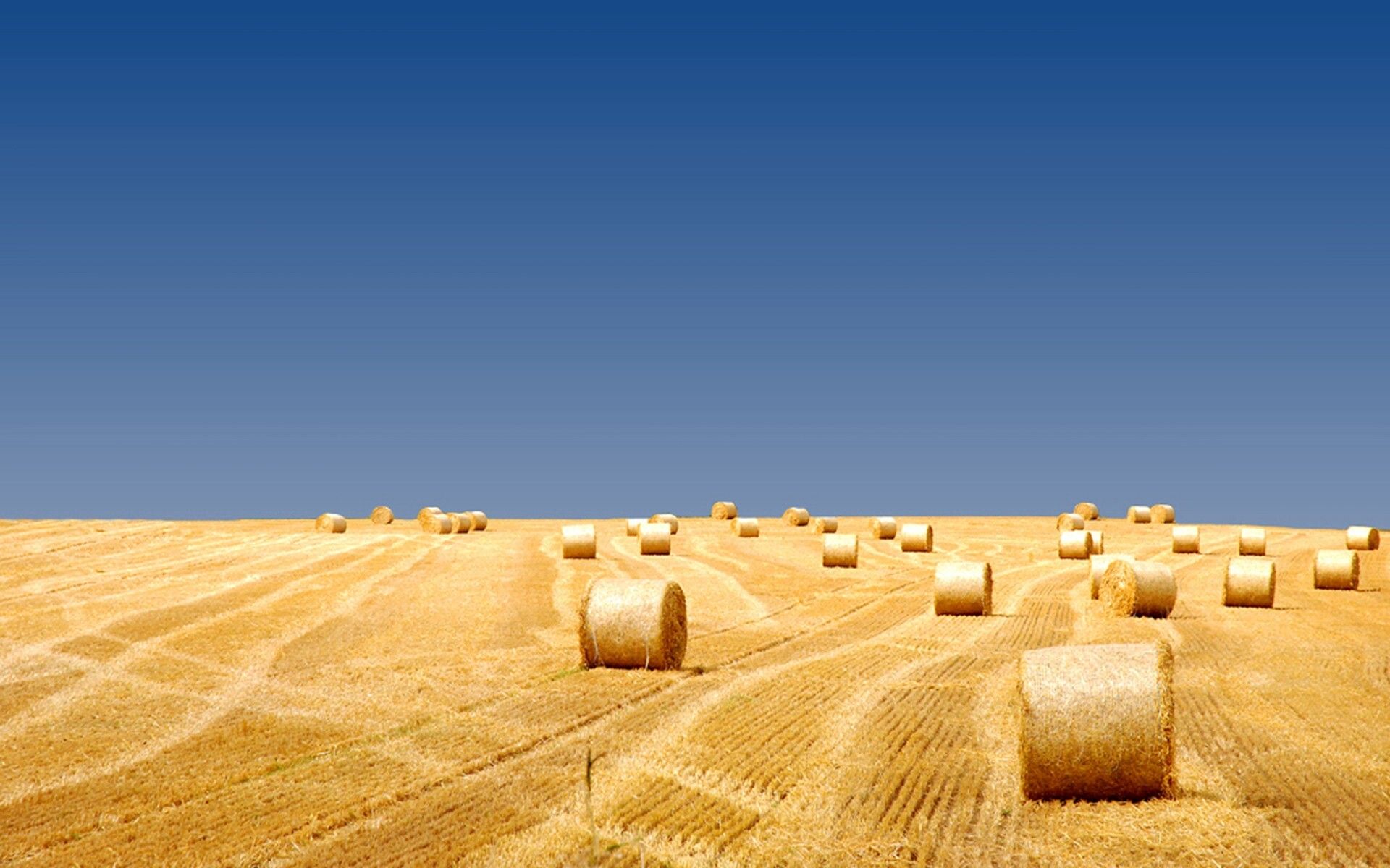 Farm Summer Wallpapers - Wallpaper Cave