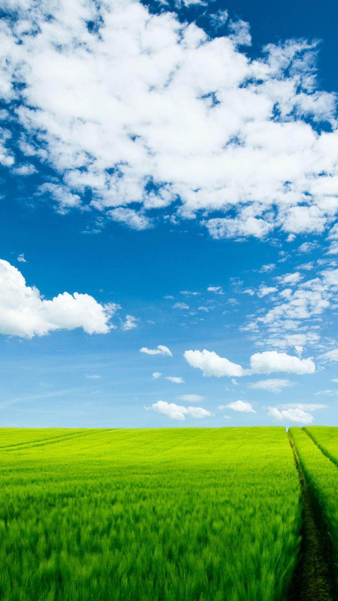 Summer Landscape Phone Wallpapers - Wallpaper Cave