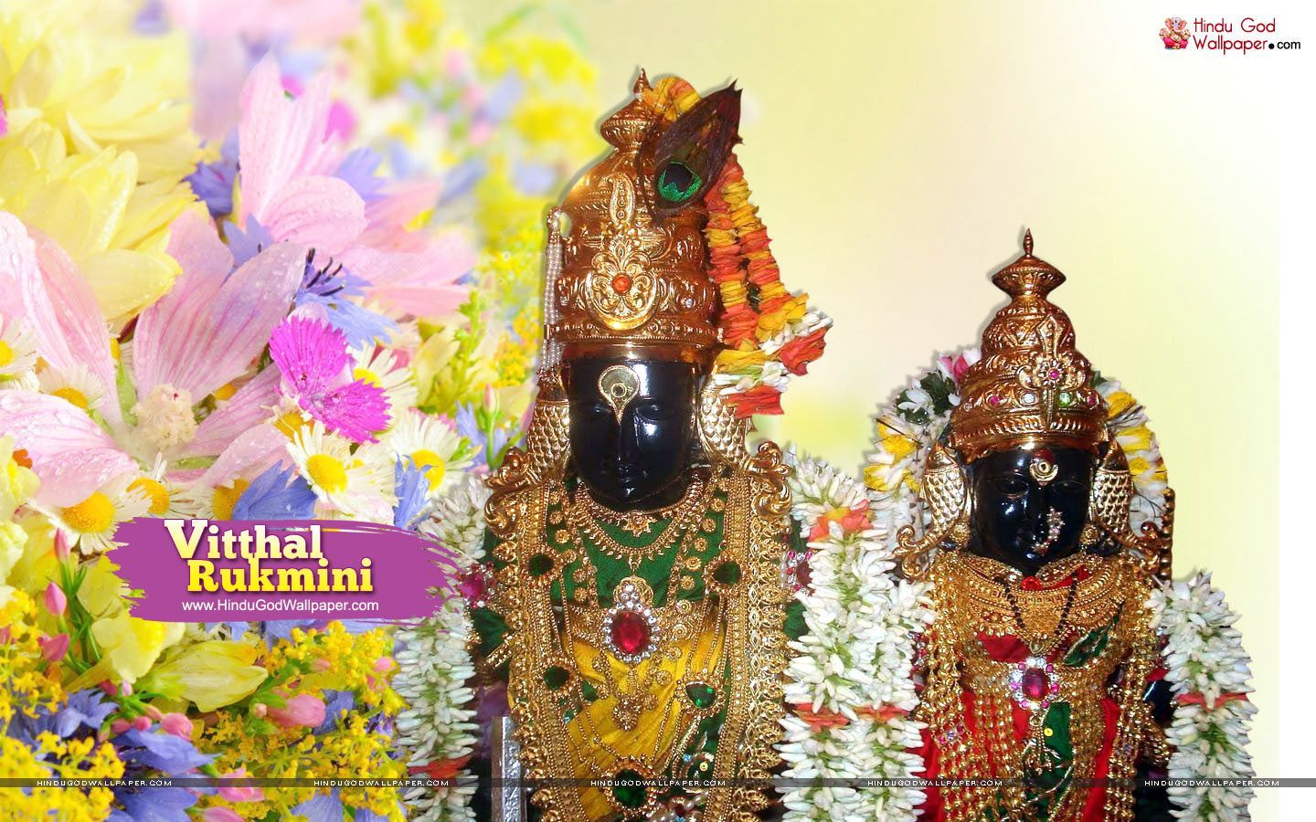 Vithu Rakhumai Wallpapers - Wallpaper Cave