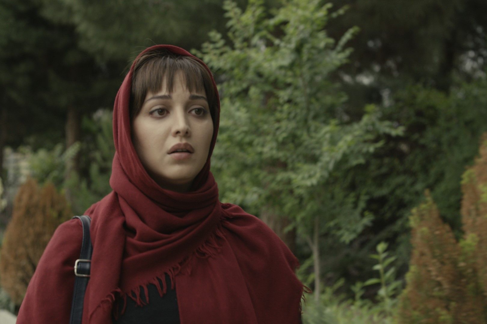 Roshanak Gerami Wallpapers - Wallpaper Cave