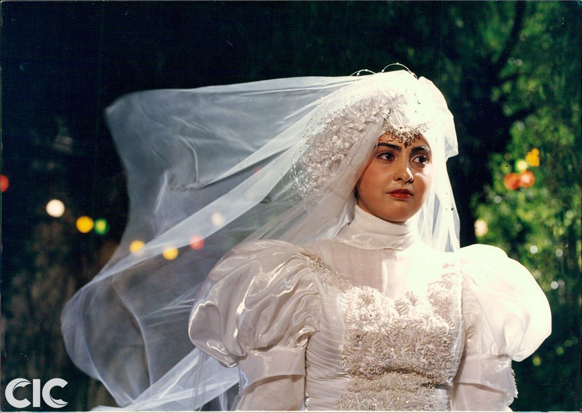 Roshanak Gerami Wallpapers - Wallpaper Cave