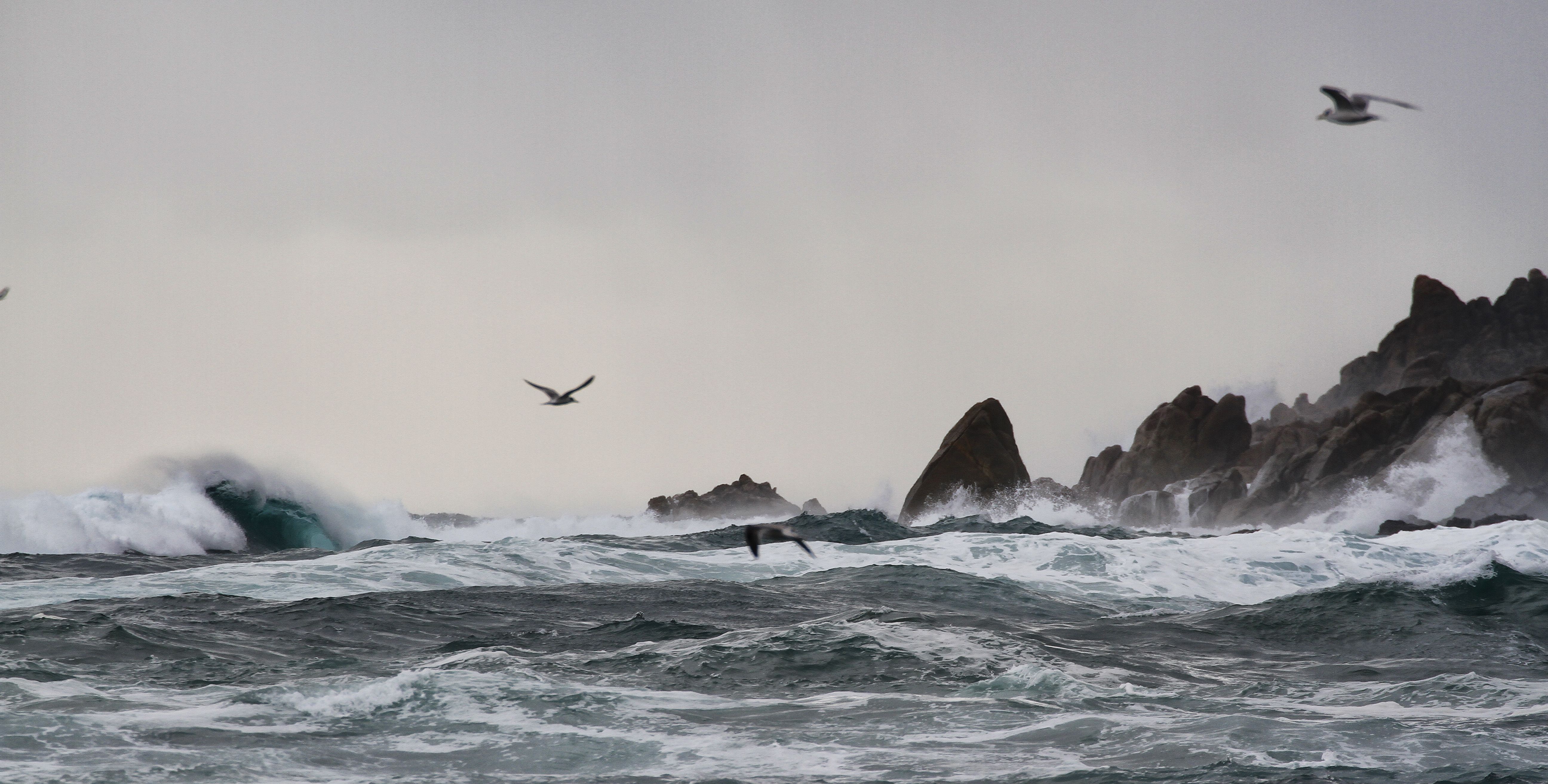 Wild Ocean Wallpapers - Wallpaper Cave