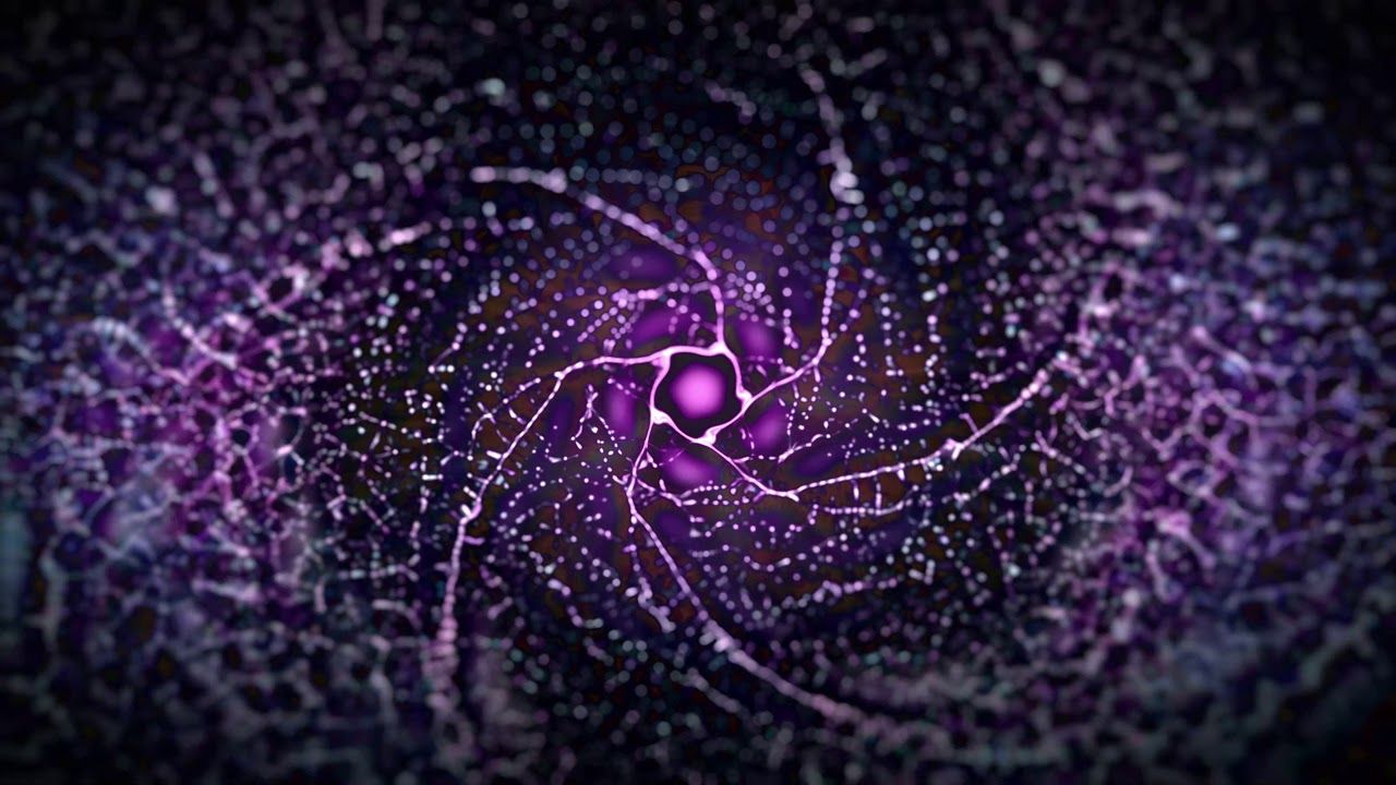 Torus Wallpapers - Wallpaper Cave