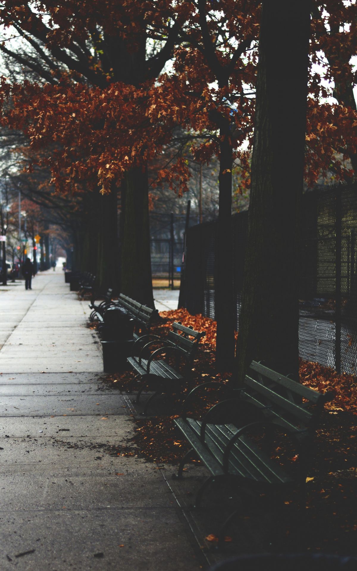 Cold Autumn Wallpapers - Wallpaper Cave