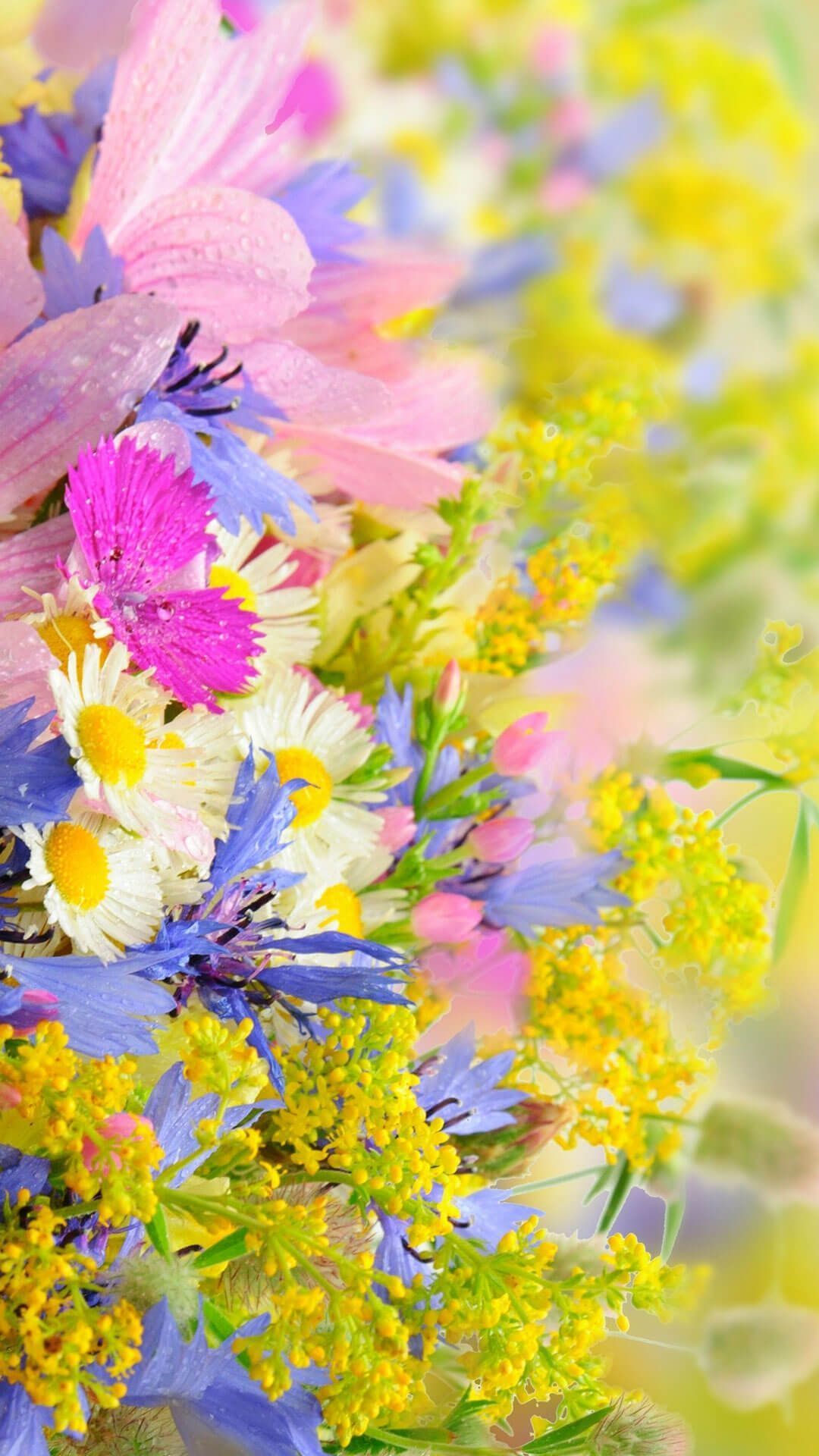 Summer Flowers Android Wallpapers - Wallpaper Cave