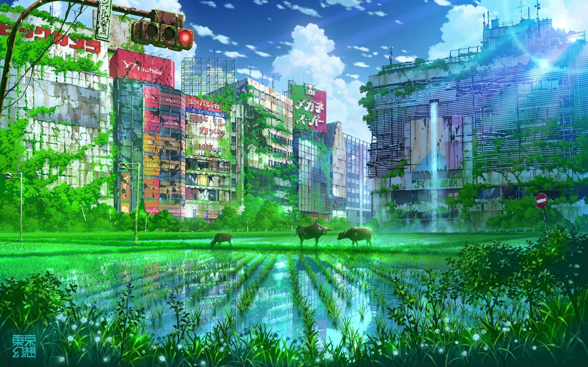 Green Anime Scenery Wallpapers - Wallpaper Cave