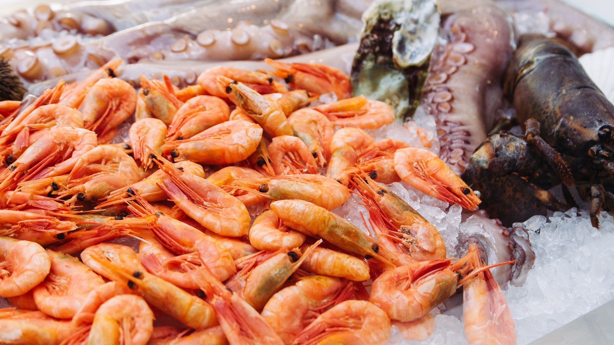 Frozen Food Wallpapers - Wallpaper Cave