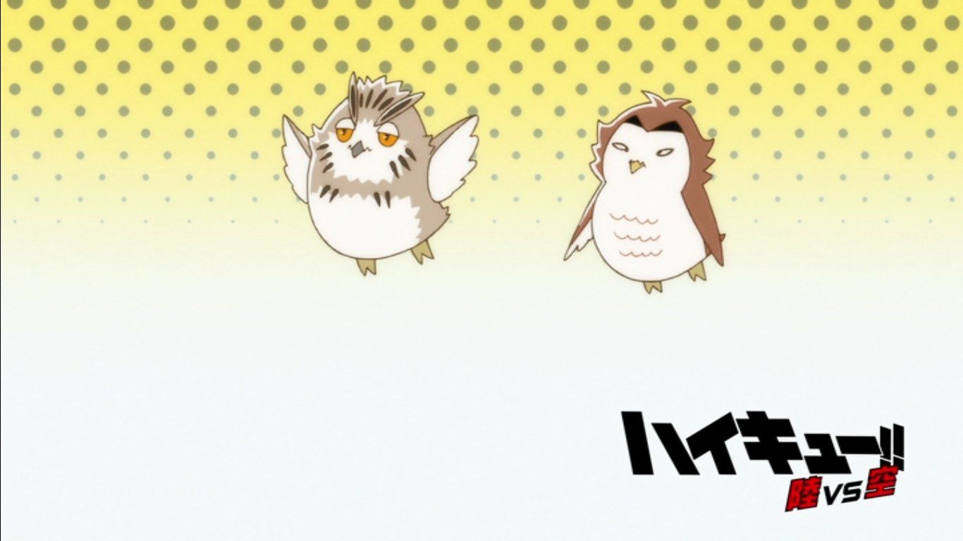 Fukurodani Cute Wallpapers - Wallpaper Cave