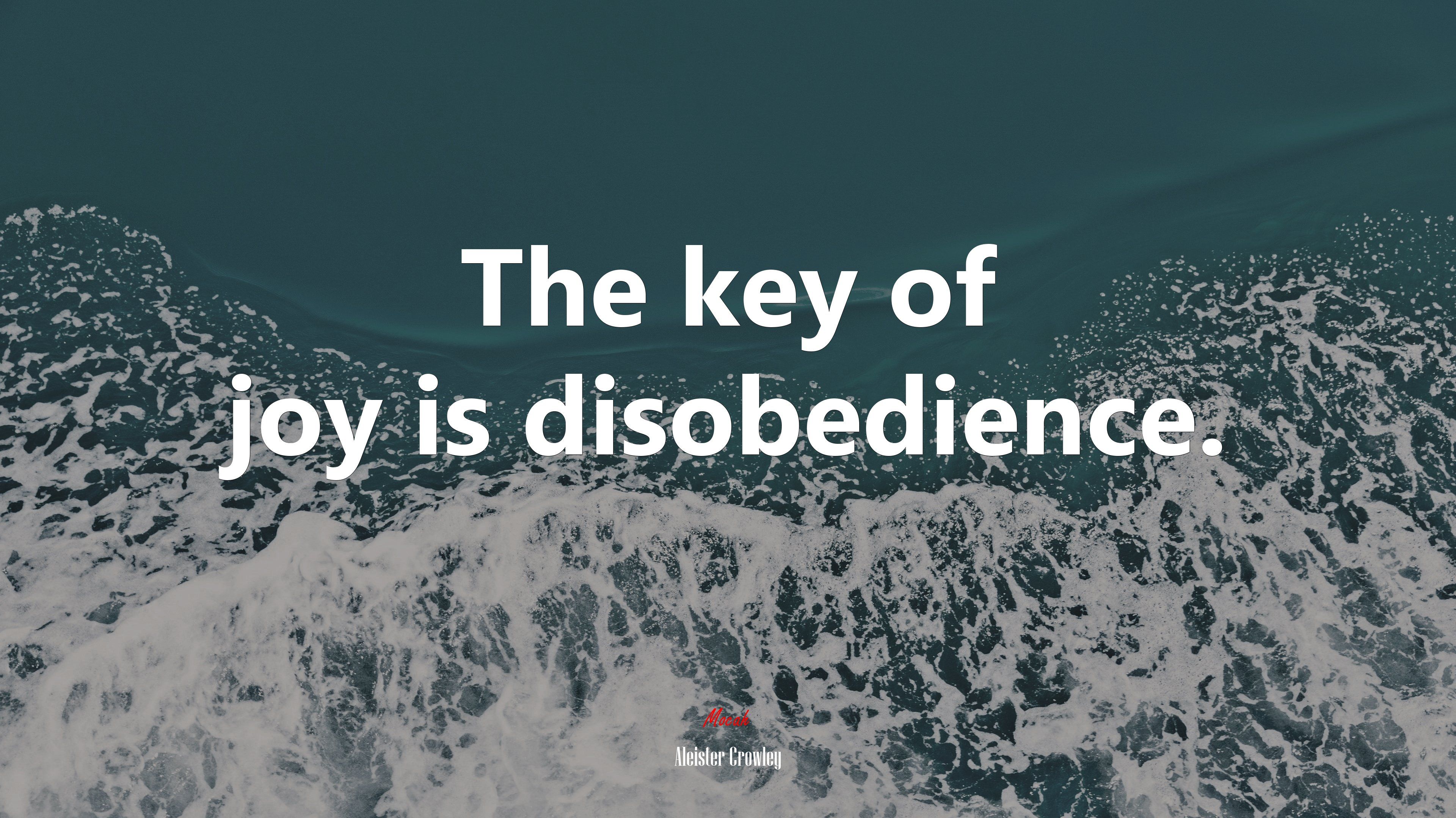 Disobedience Wallpapers - Wallpaper Cave