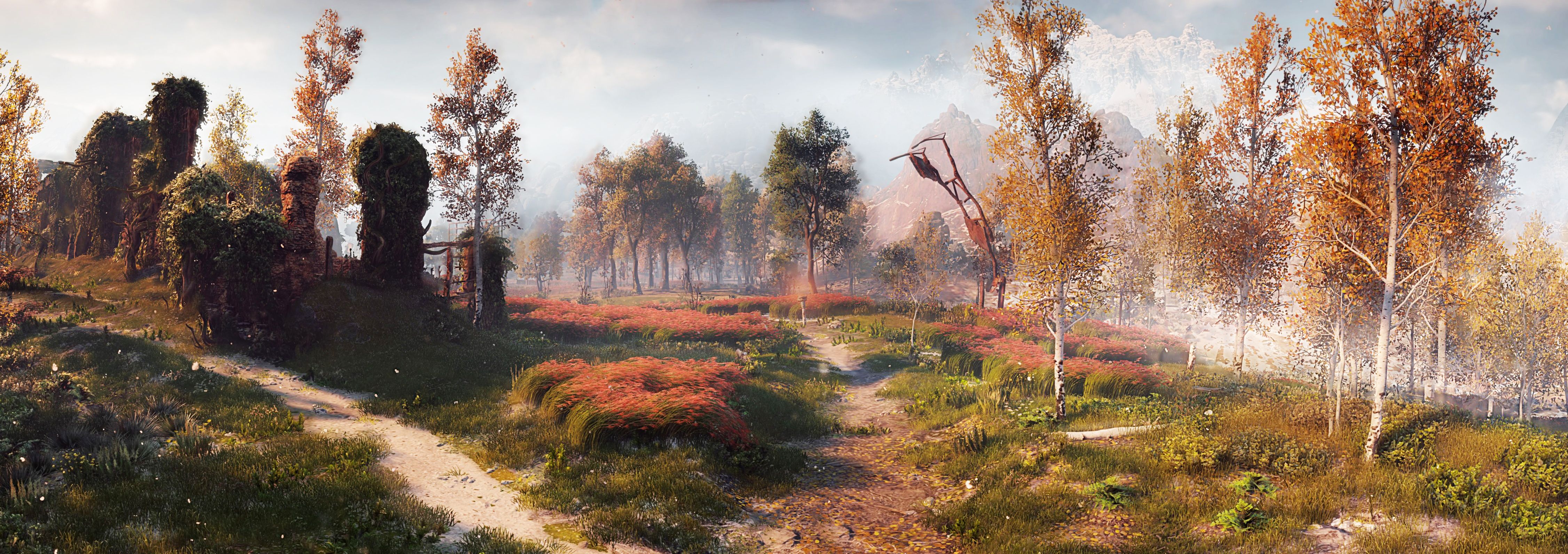 Autumn Forest PS4 Wallpapers - Wallpaper Cave