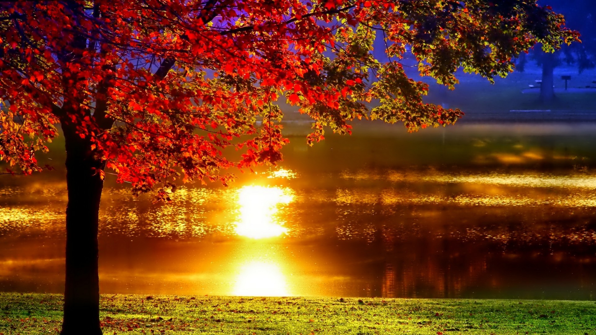 Nature Autumn Nature Wallpapers - Wallpaper Cave