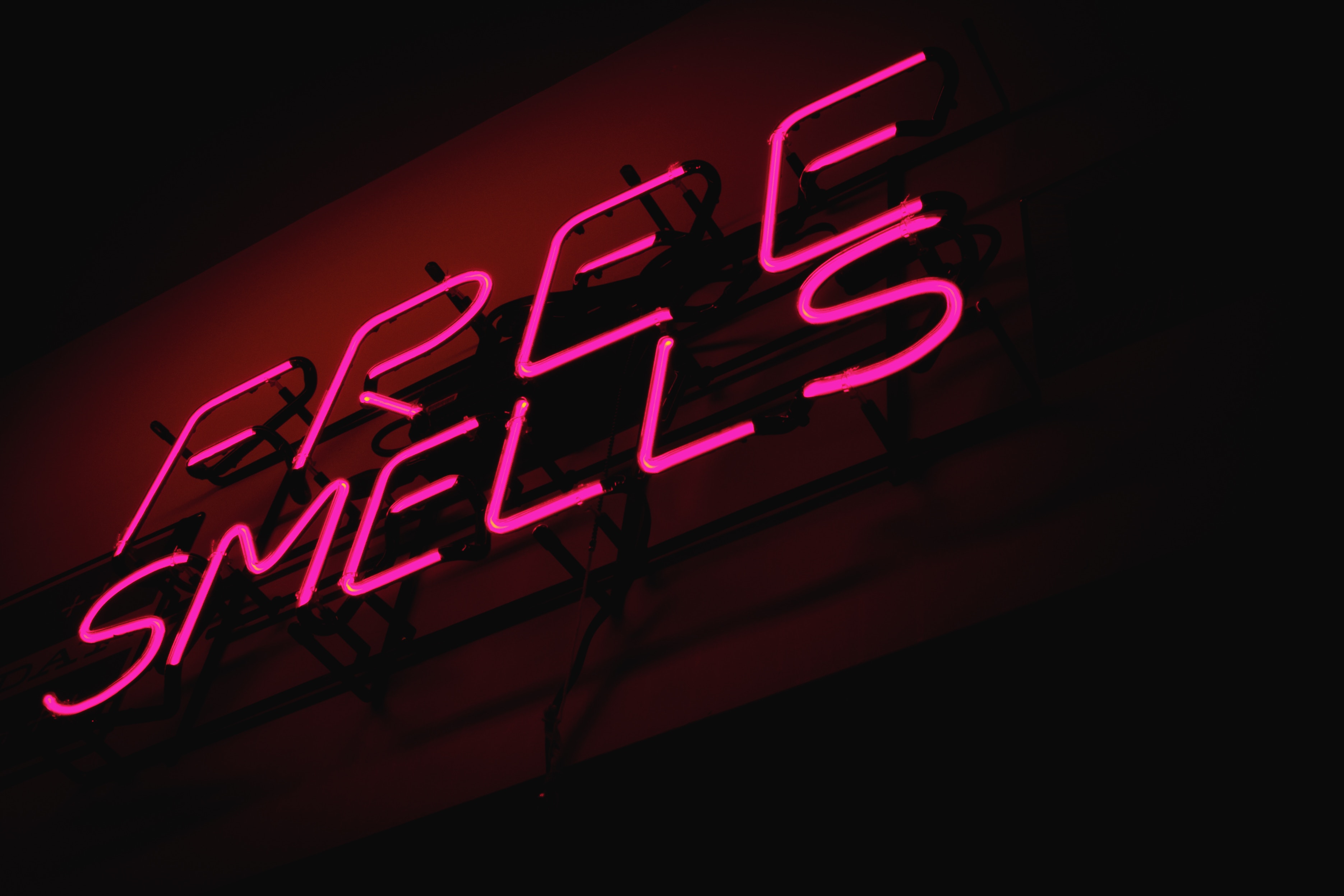 Neon Text Wallpapers - Wallpaper Cave