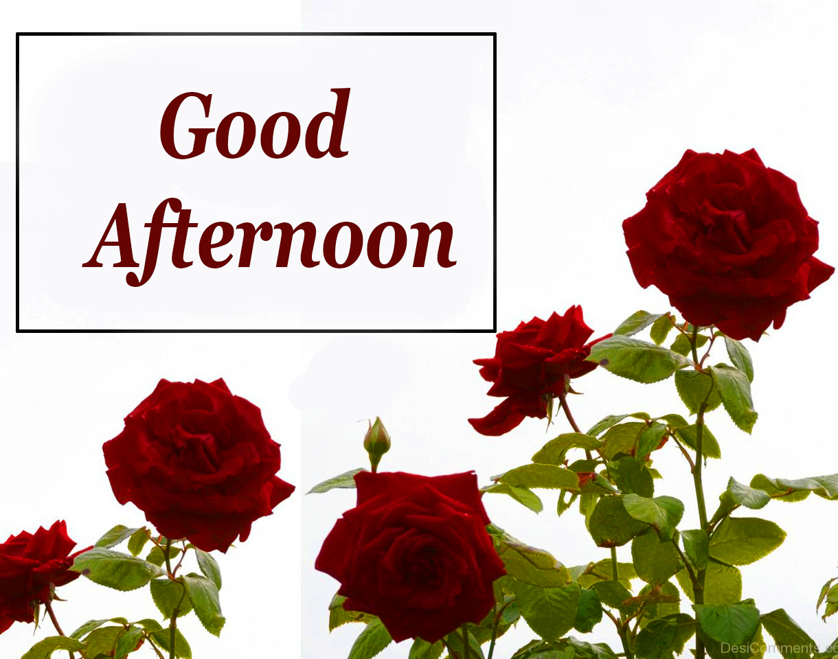 Good Noon Wallpapers - Wallpaper Cave