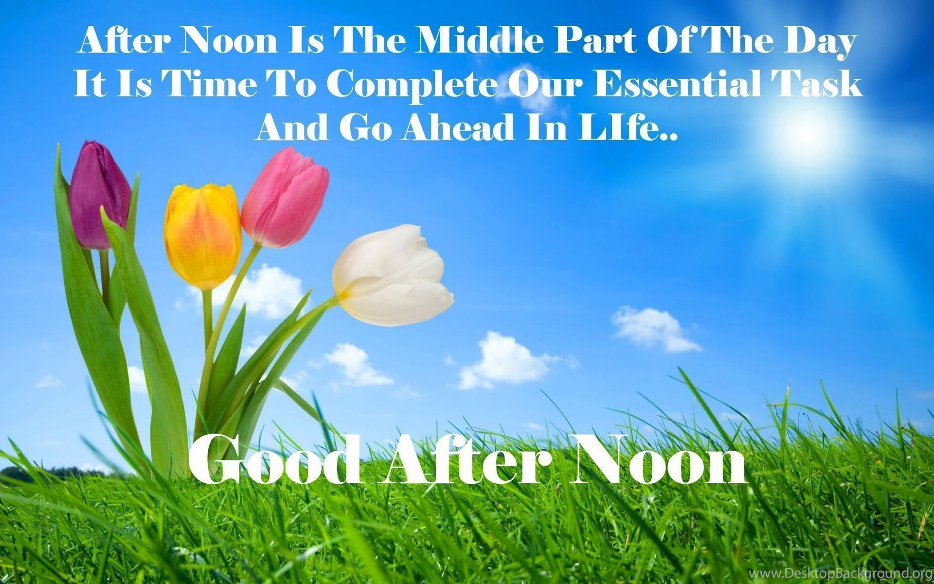 Good Noon Wallpapers - Wallpaper Cave