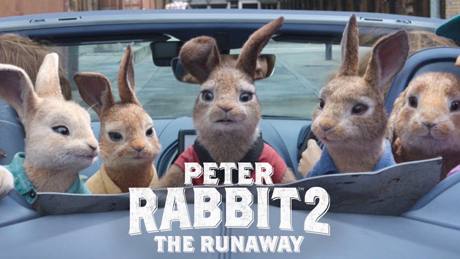 Peter Rabbit 2: The Runaway Wallpapers - Wallpaper Cave