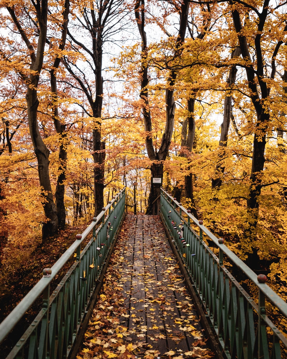 Daytime Autumn Wallpapers - Wallpaper Cave