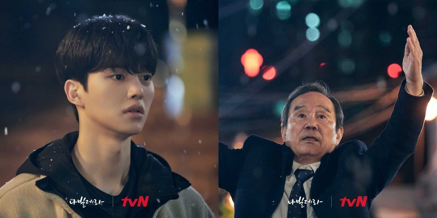 Navillera Wallpapers - Wallpaper Cave