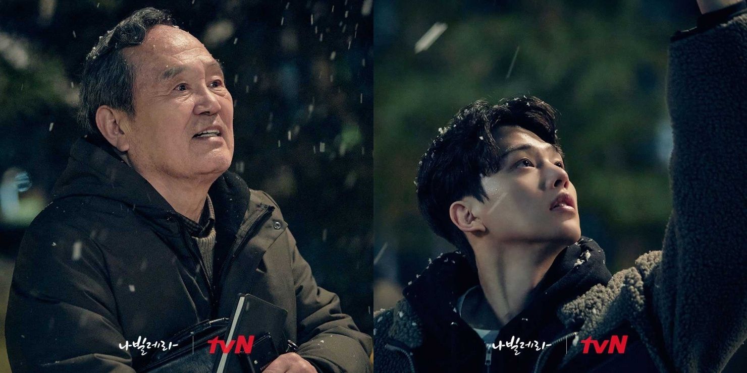 Navillera Wallpapers - Wallpaper Cave