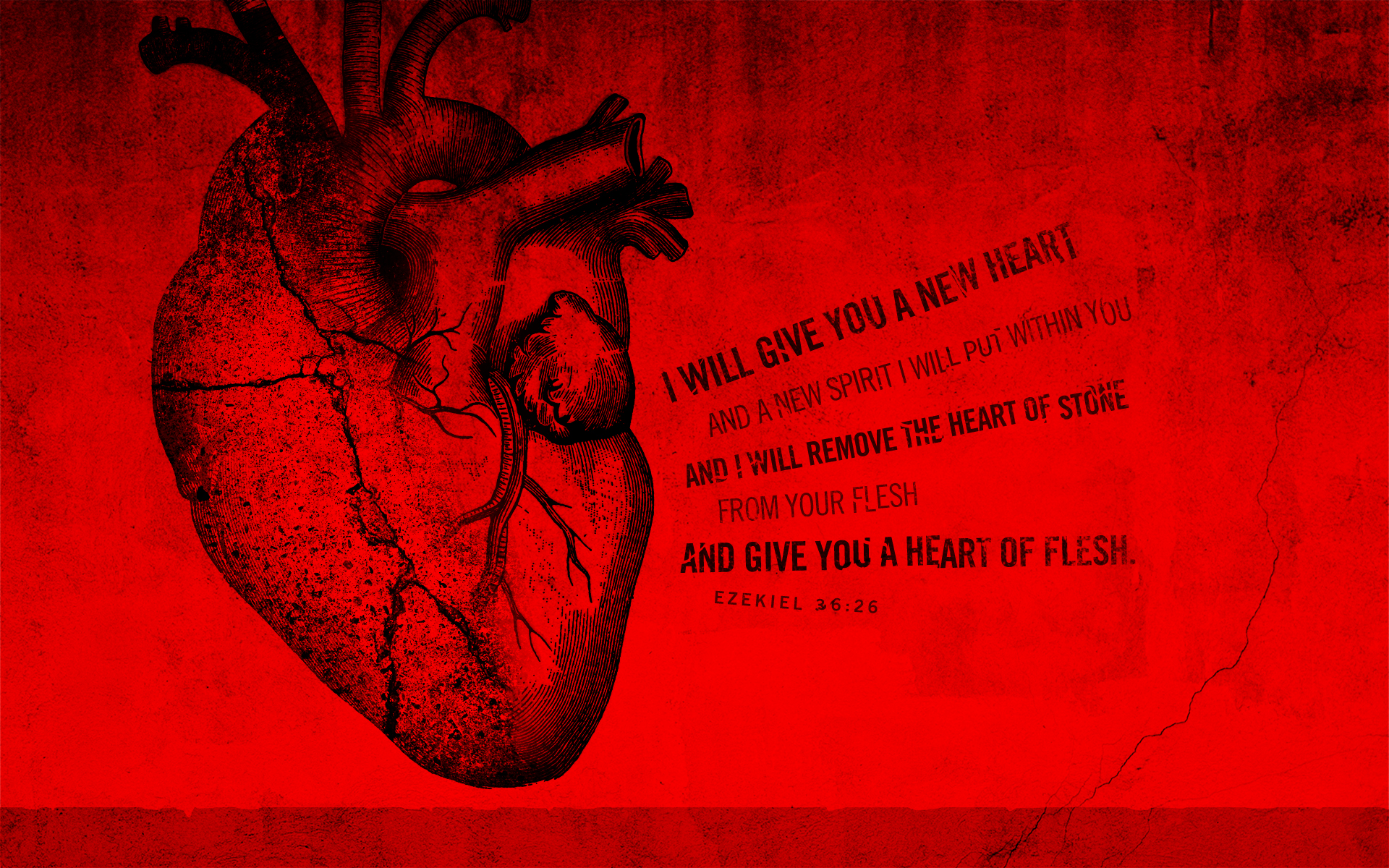 First Reformed Wallpapers - Wallpaper Cave