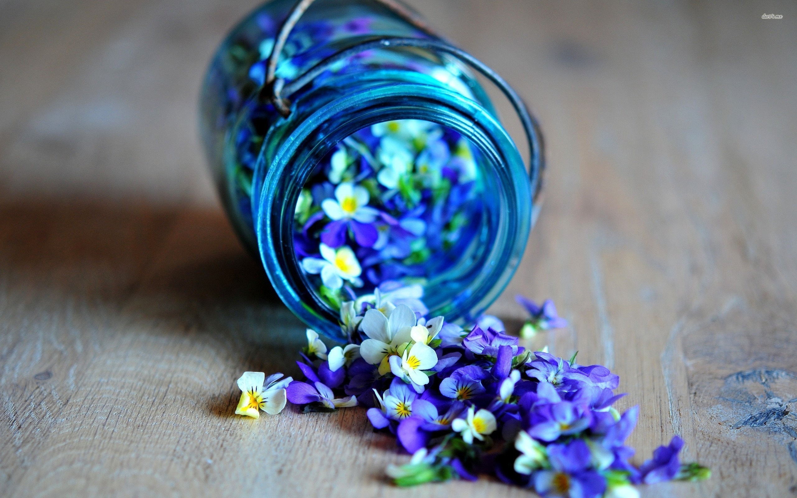 Mason Jar Wallpapers - Wallpaper Cave