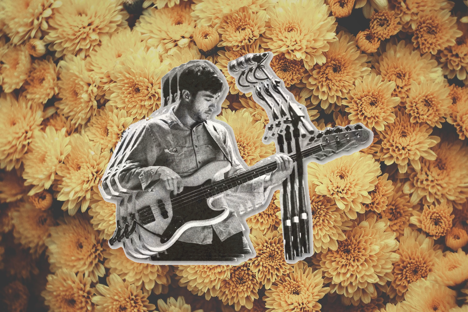 Vulfpeck Wallpapers - Wallpaper Cave