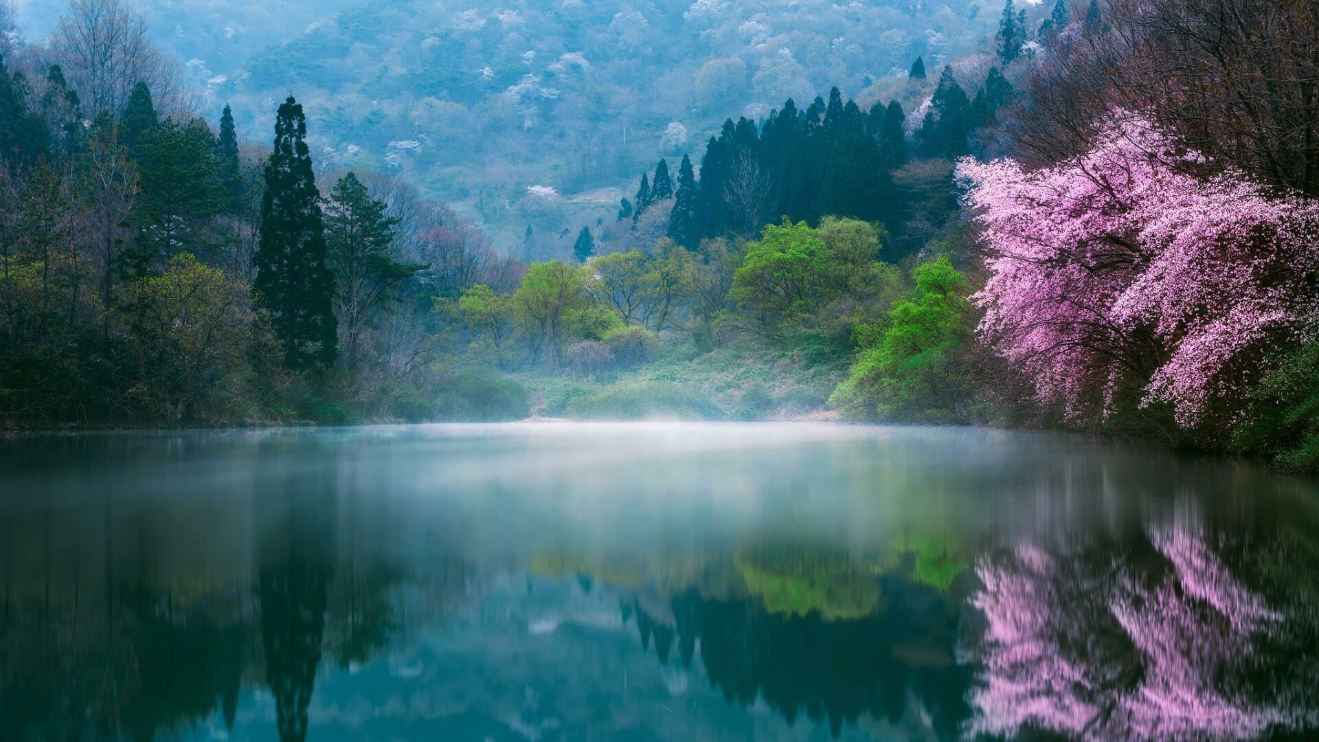 Spring Korean Wallpapers - Wallpaper Cave