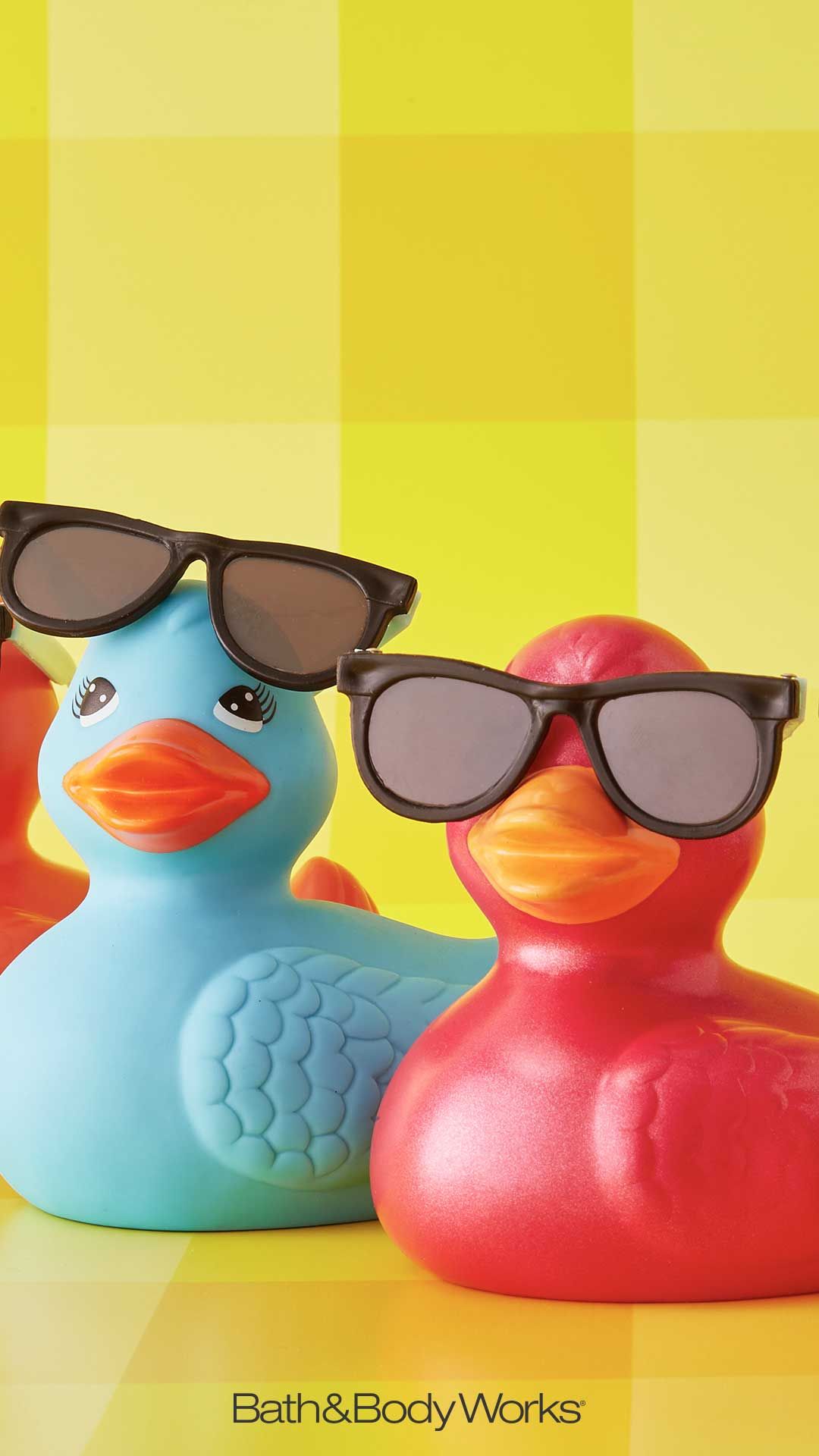 Summer Duck Wallpapers - Wallpaper Cave