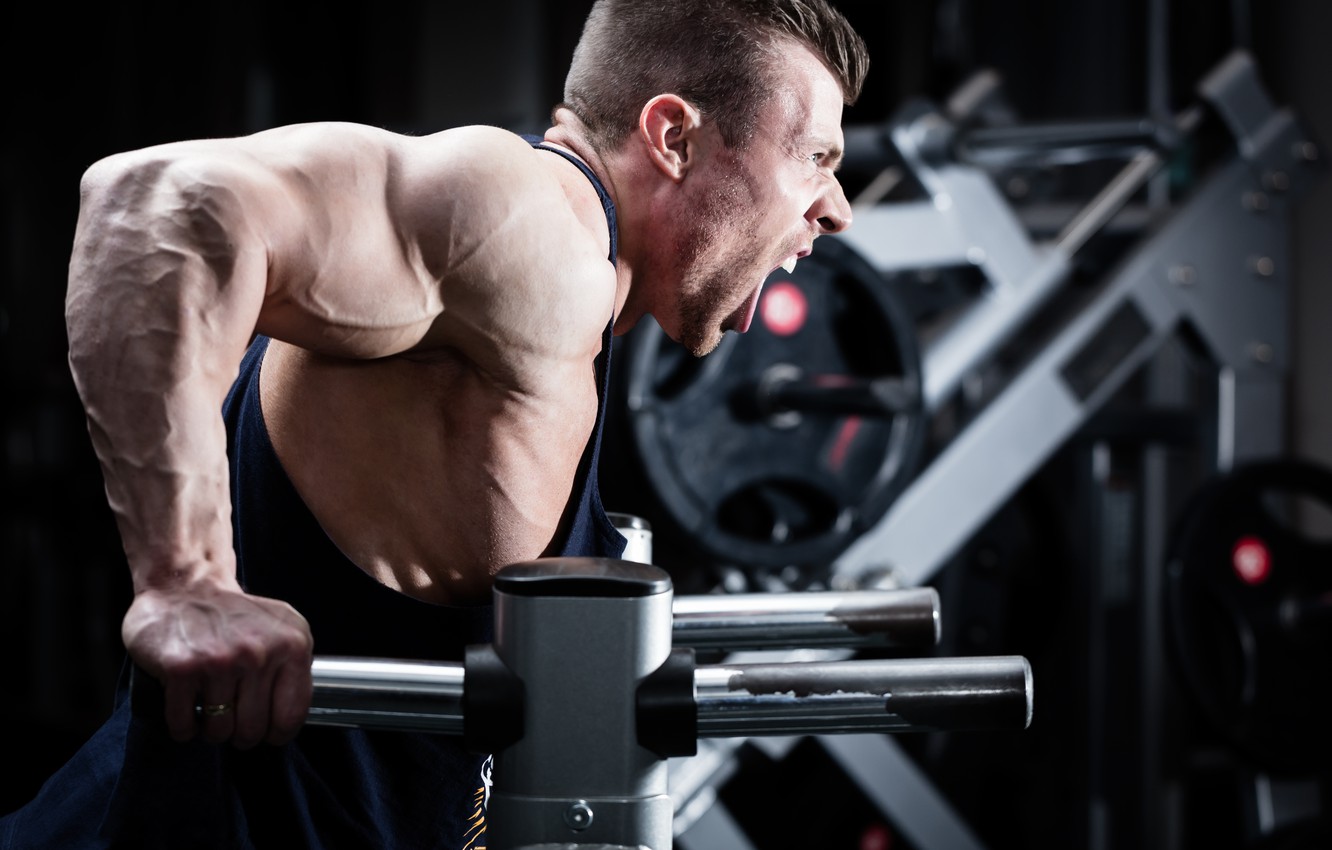 Triceps Wallpapers - Wallpaper Cave