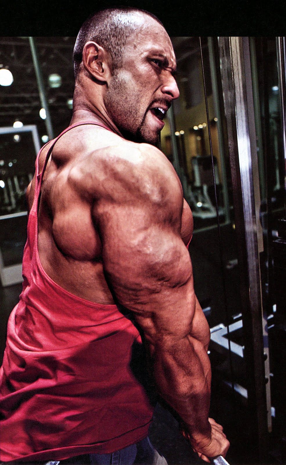 Triceps Wallpapers - Wallpaper Cave