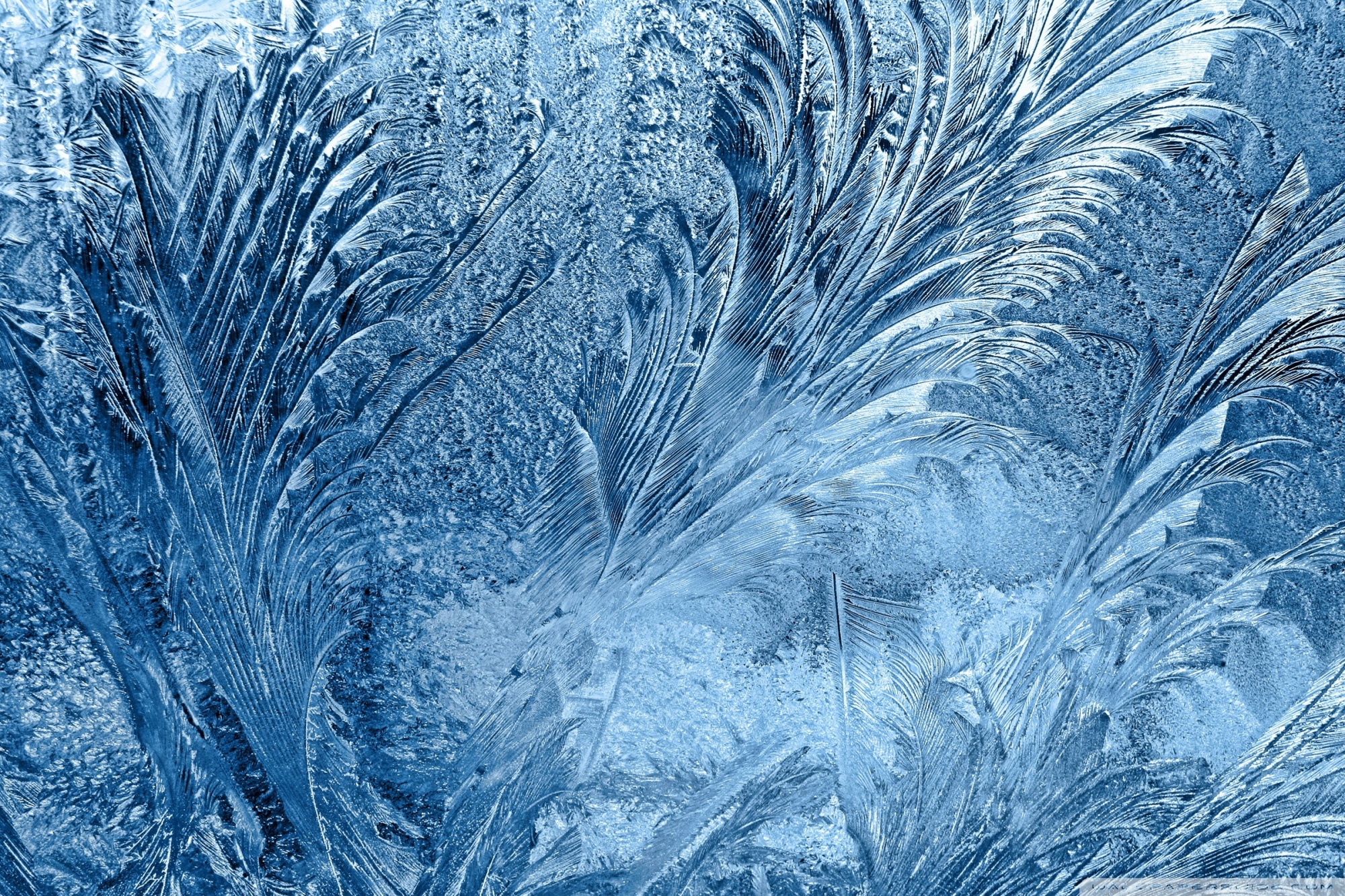 Ice Magic Wallpapers - Wallpaper Cave