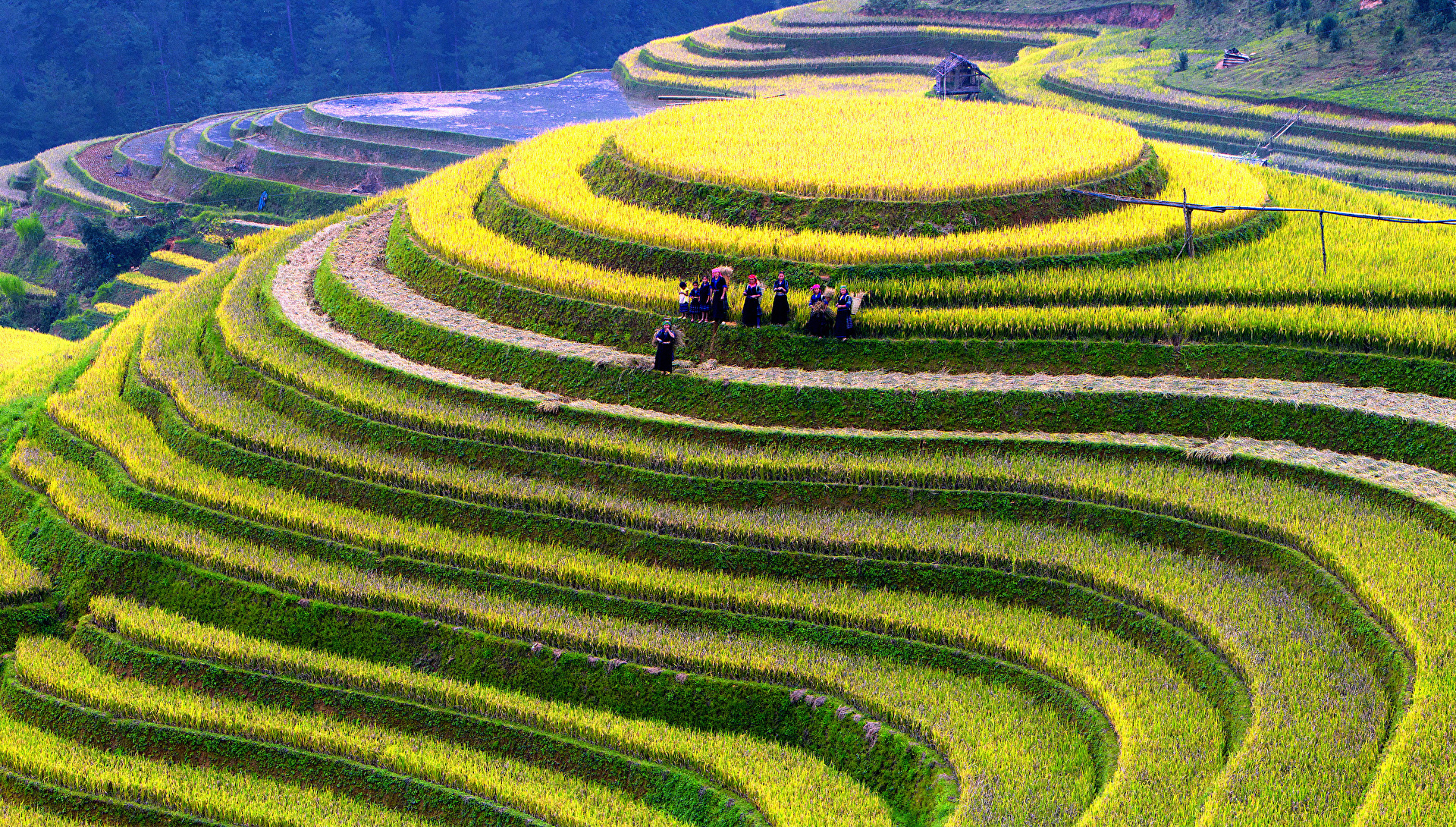 1920x1090 Wallpapers - Wallpaper Cave