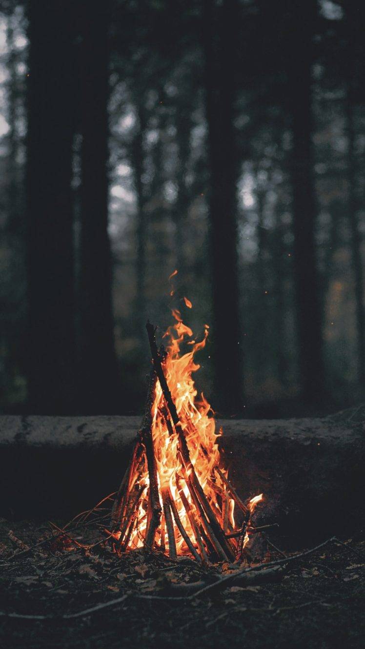 Wood Fire Wallpapers - Wallpaper Cave
