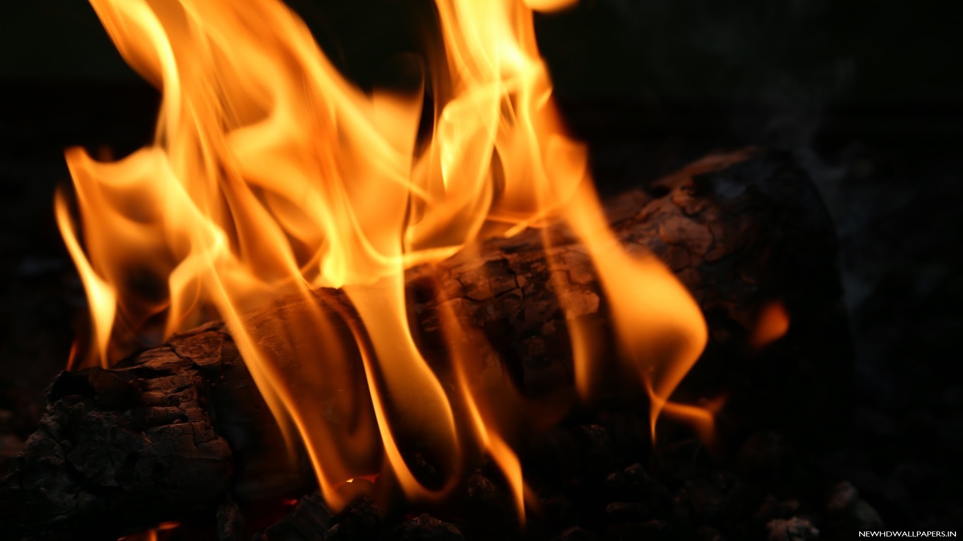 Wood Fire Wallpapers - Wallpaper Cave