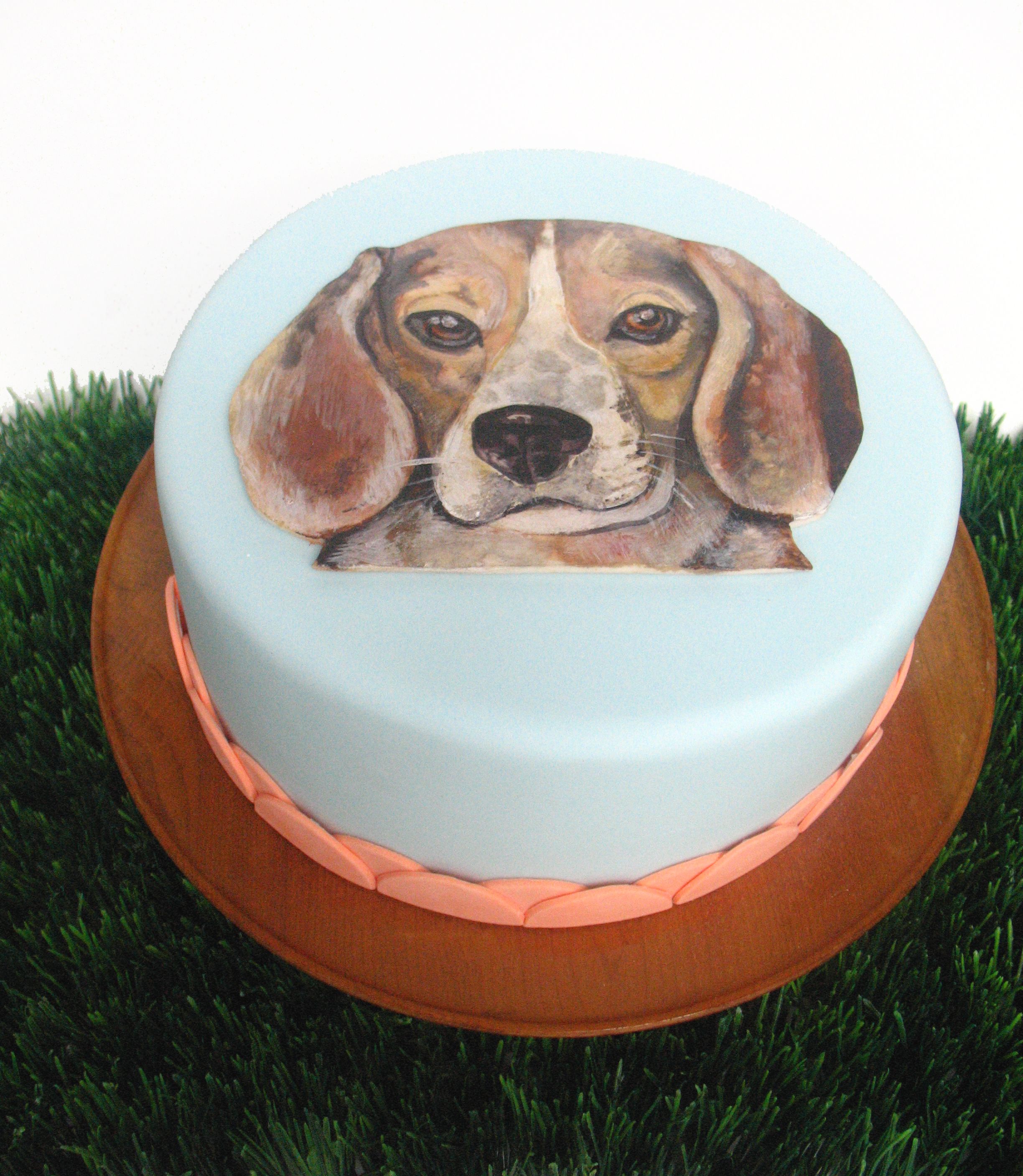 Dog Cake Wallpapers - Wallpaper Cave