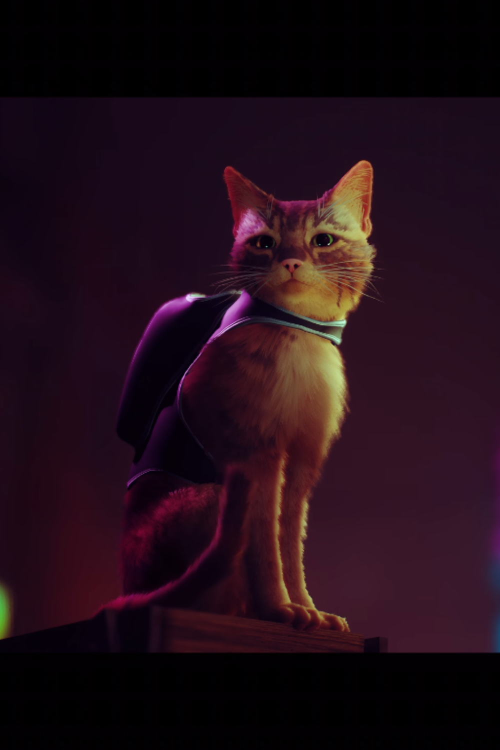 Stray Game Cat Wallpapers - Wallpaper Cave