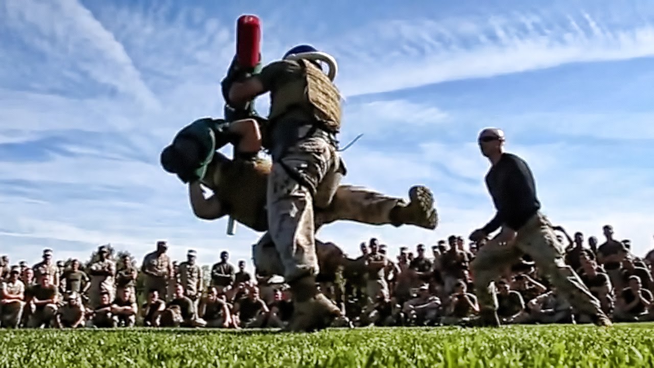 Marine Pugil Sticks Wallpapers - Wallpaper Cave