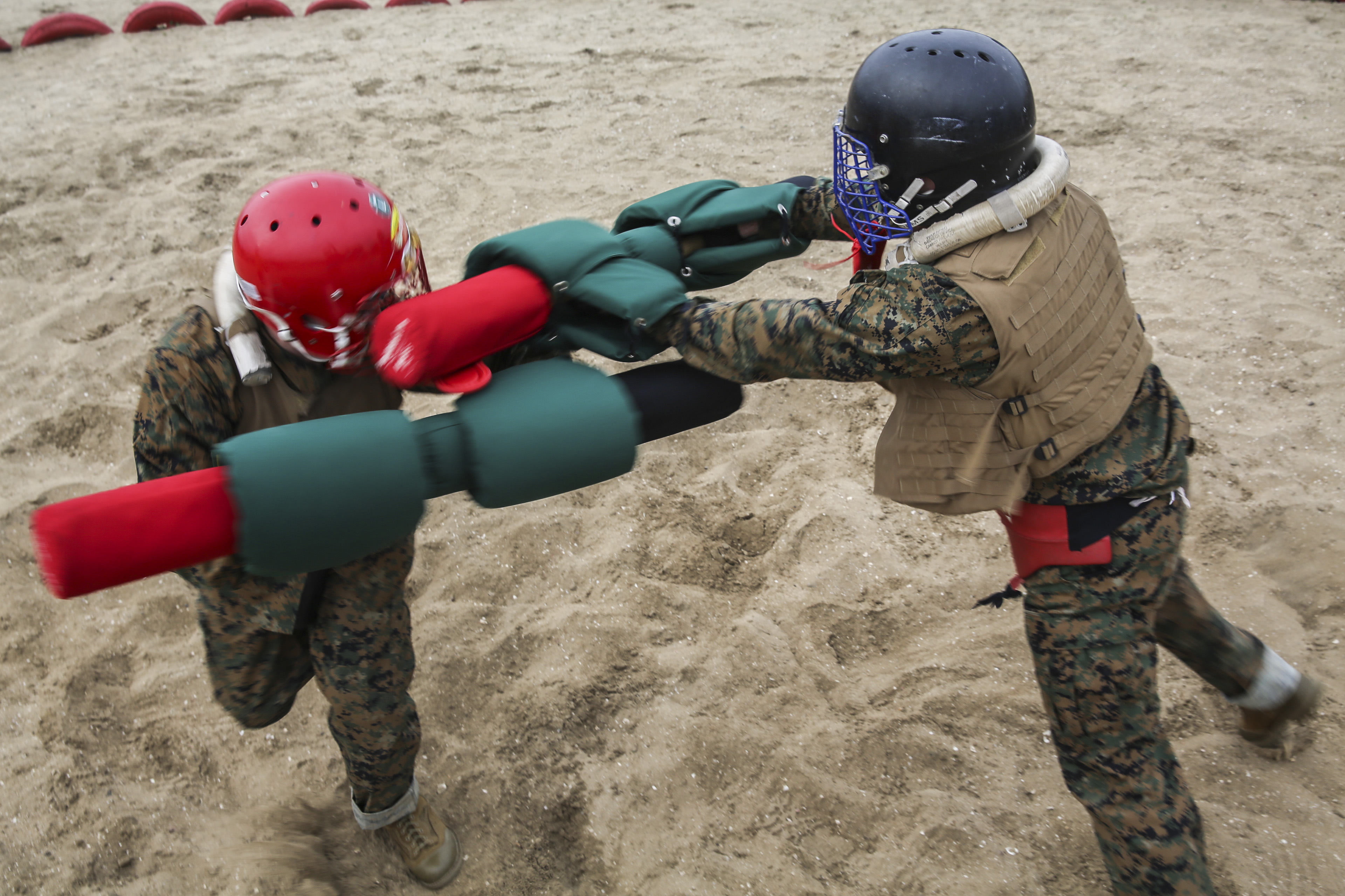 Marine Pugil Sticks Wallpapers - Wallpaper Cave