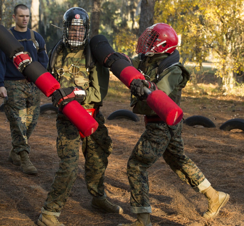 Marine Pugil Sticks Wallpapers - Wallpaper Cave