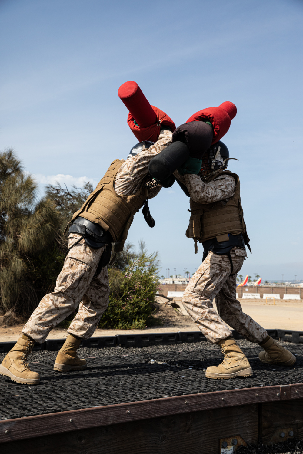 Marine Pugil Sticks Wallpapers - Wallpaper Cave