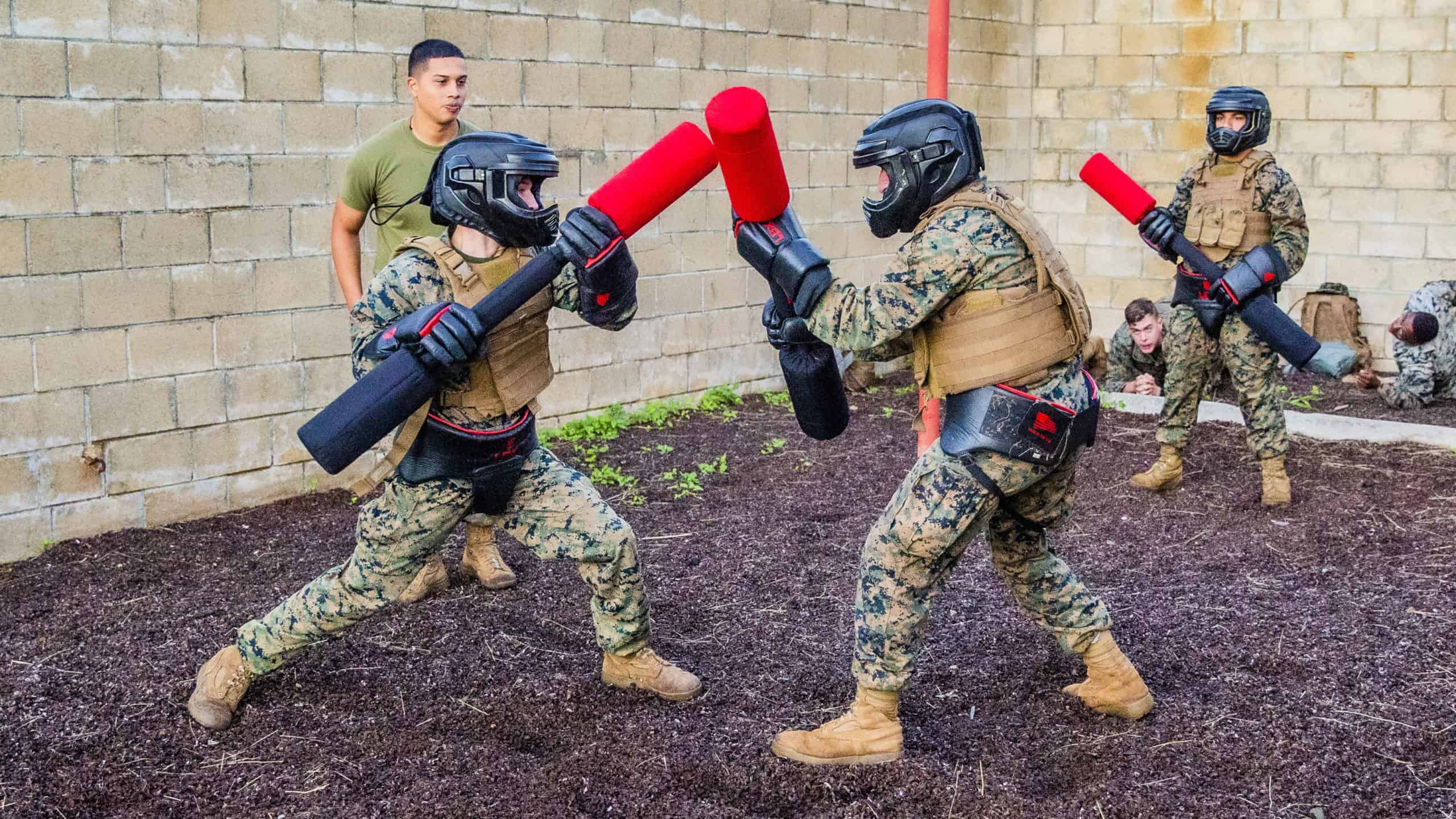 Marine Pugil Sticks Wallpapers - Wallpaper Cave