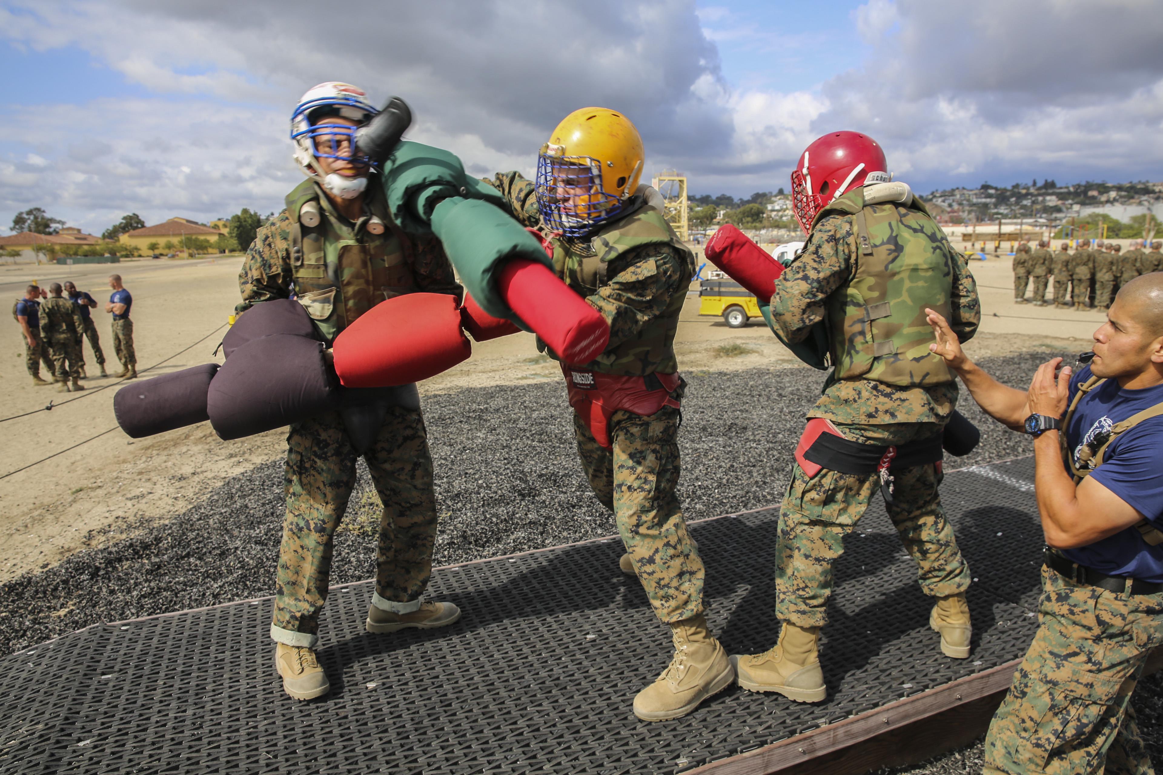 Marine Pugil Sticks Wallpapers - Wallpaper Cave